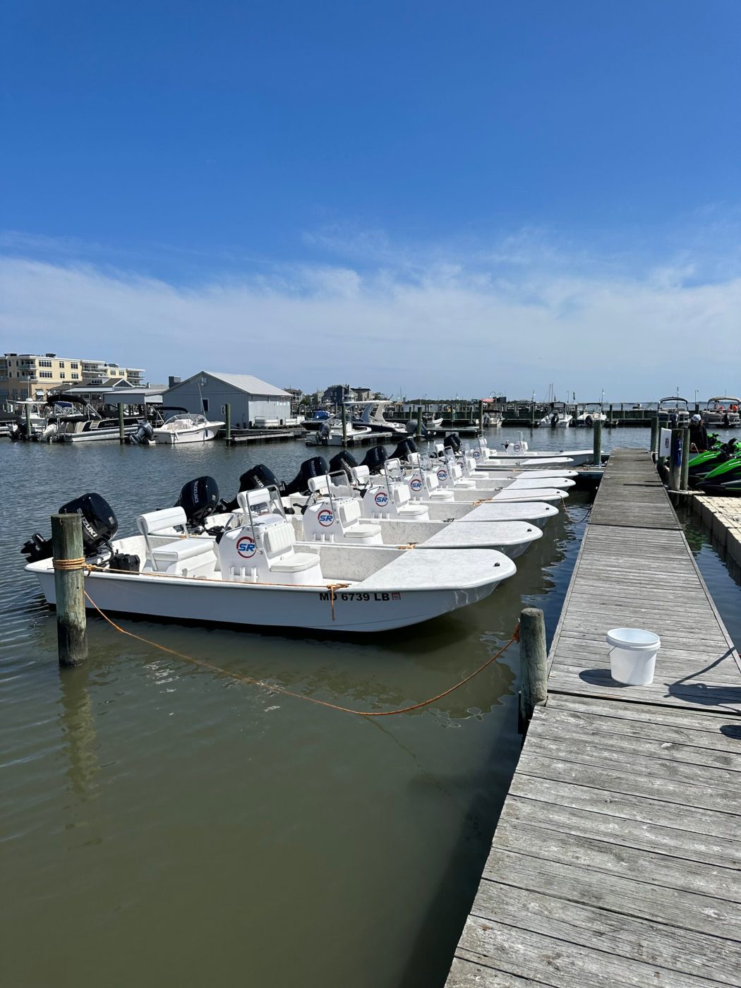 Partners | Sea Rocket Adventures - Dewey Beach