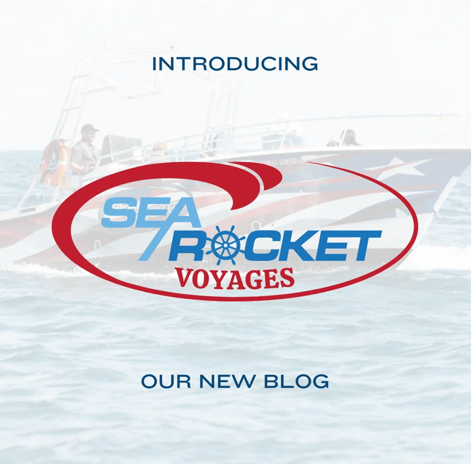 Sea Rocket’s New Blog: Exploring New Adventures | Sea Rocket Adventures